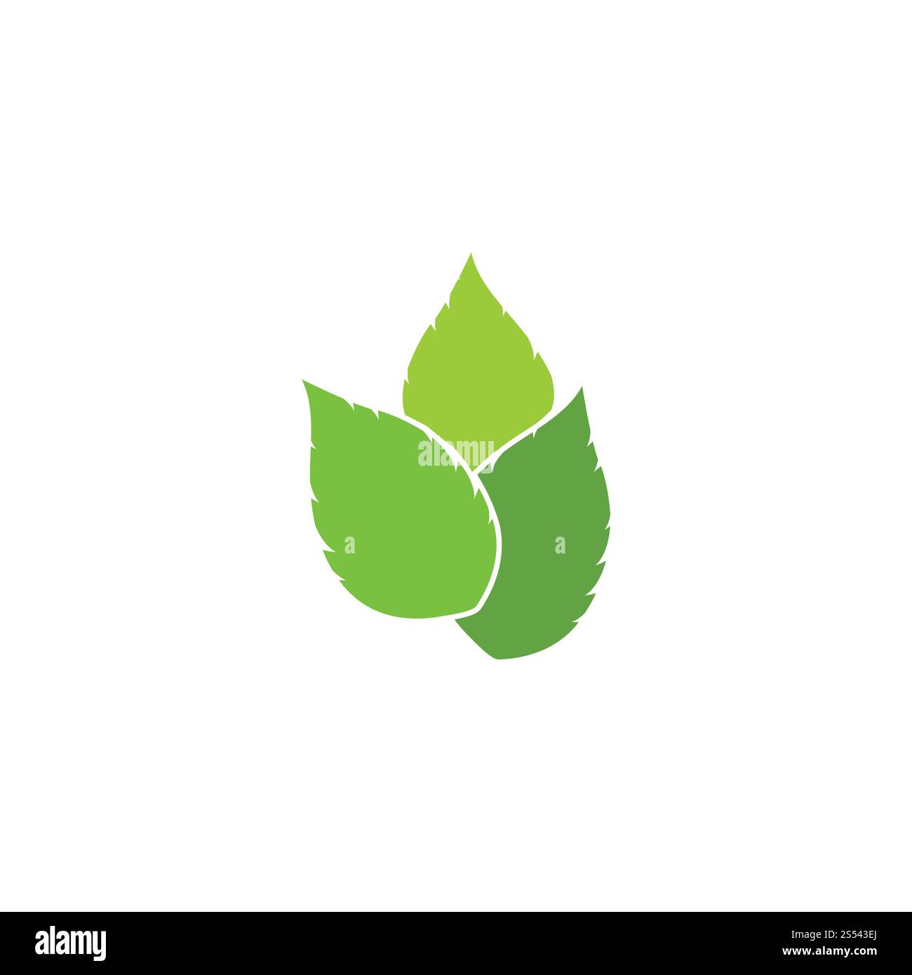 Baum blatt symbol -Fotos und -Bildmaterial in hoher Auflösung – Alamy