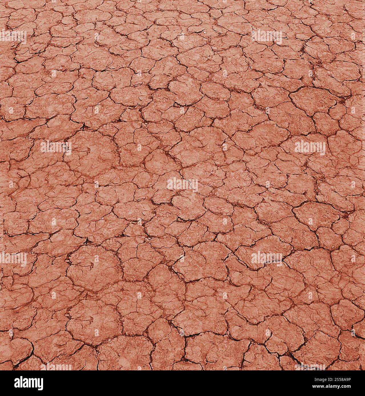Cracked clay -Fotos und -Bildmaterial in hoher Auflösung – Alamy