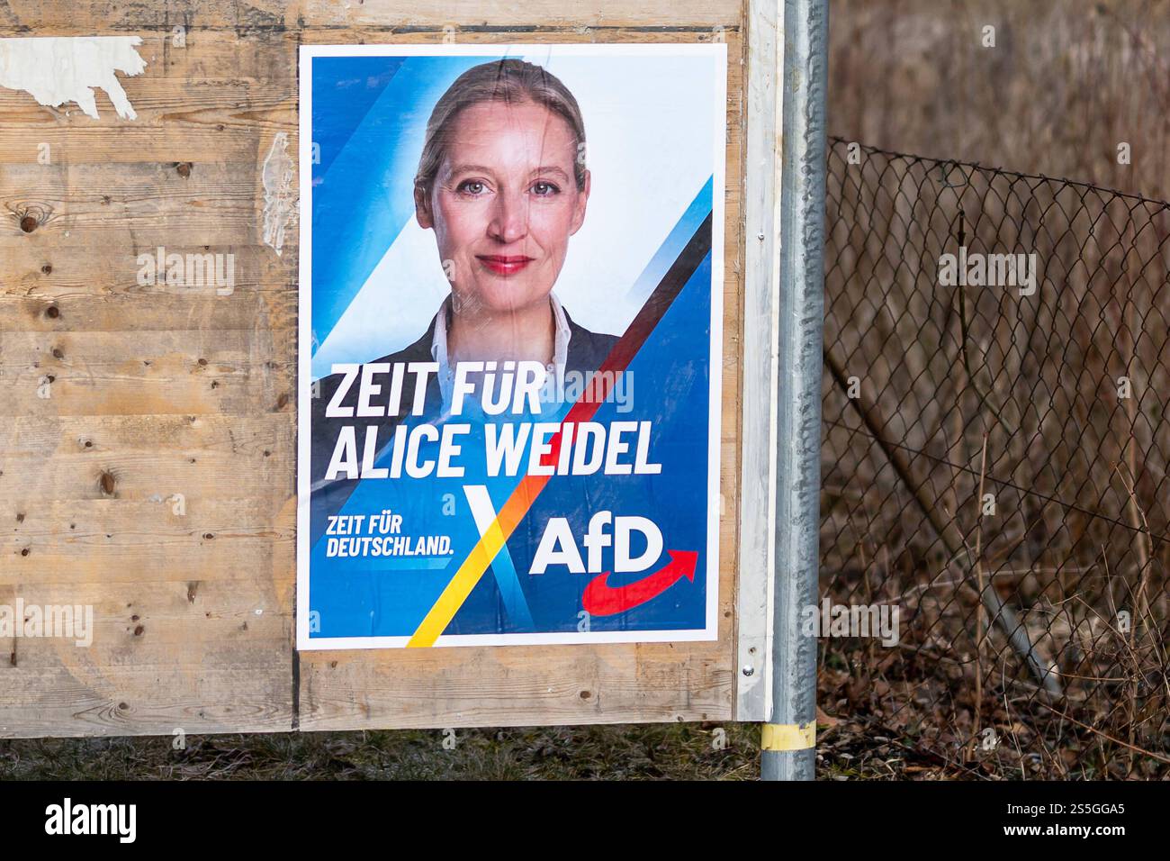 München GER, Themenbild, Wahlplakate zur Bundestagswahl in Deutschland 2025, 14.01.2025. AFD ...