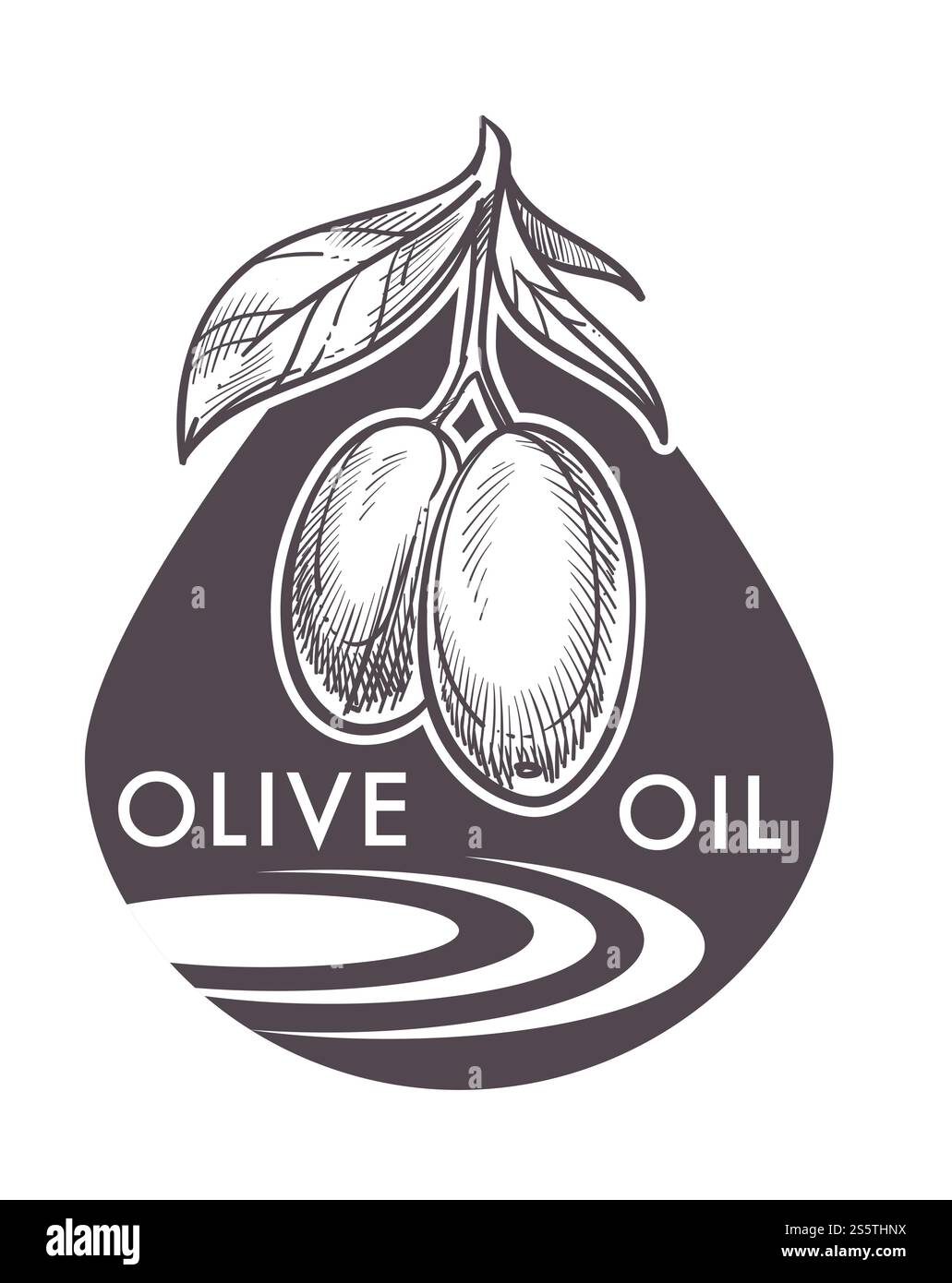 Olivenöl extra nativ, monochrome Skizze Umriss Poster Vektor ...