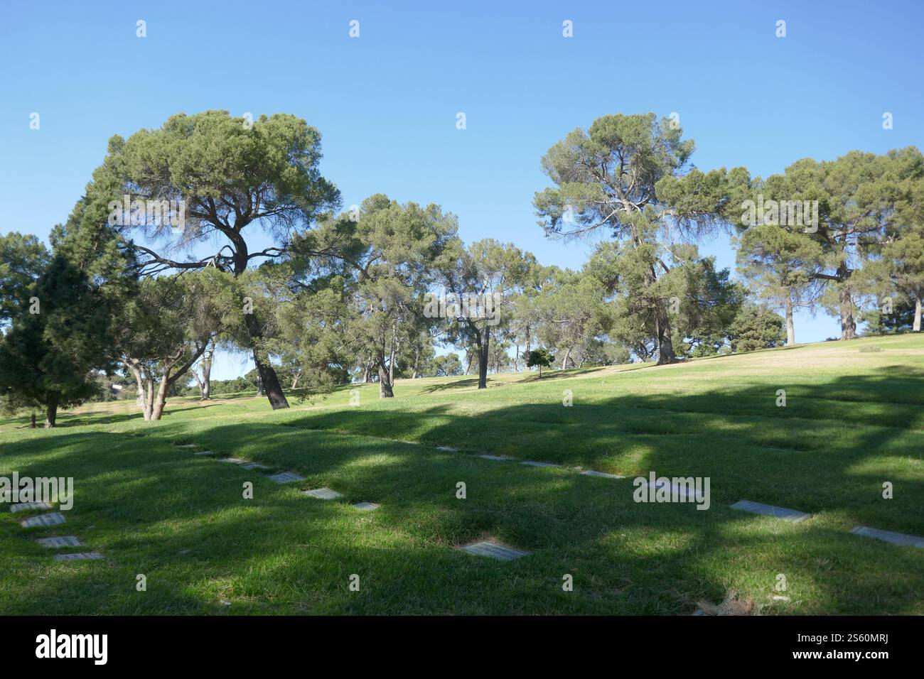 Glendale, Kalifornien, USA 13. Januar 2025 Leroy Mason Grave in ...