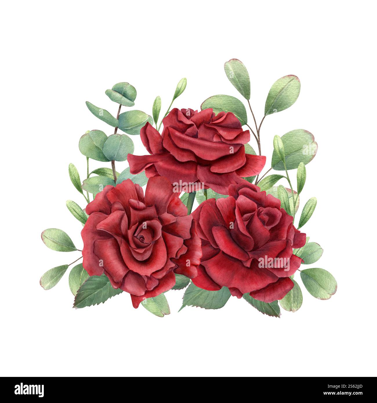 Drei rote Rosen, Eukalyptusblätter Blumenstrauß Aquarellillustration ...