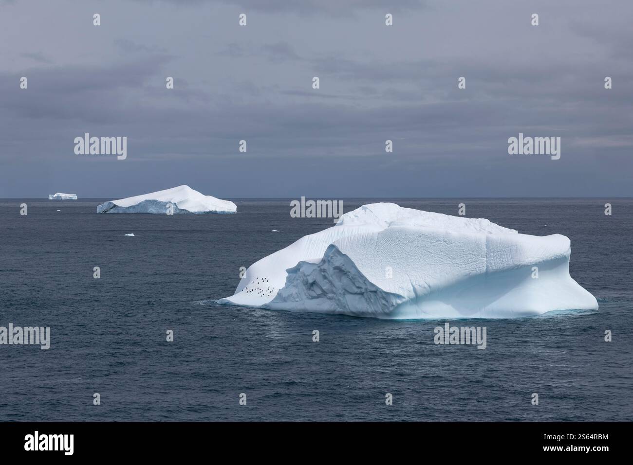 Eisberg kulisse -Fotos und -Bildmaterial in hoher Auflösung – Alamy