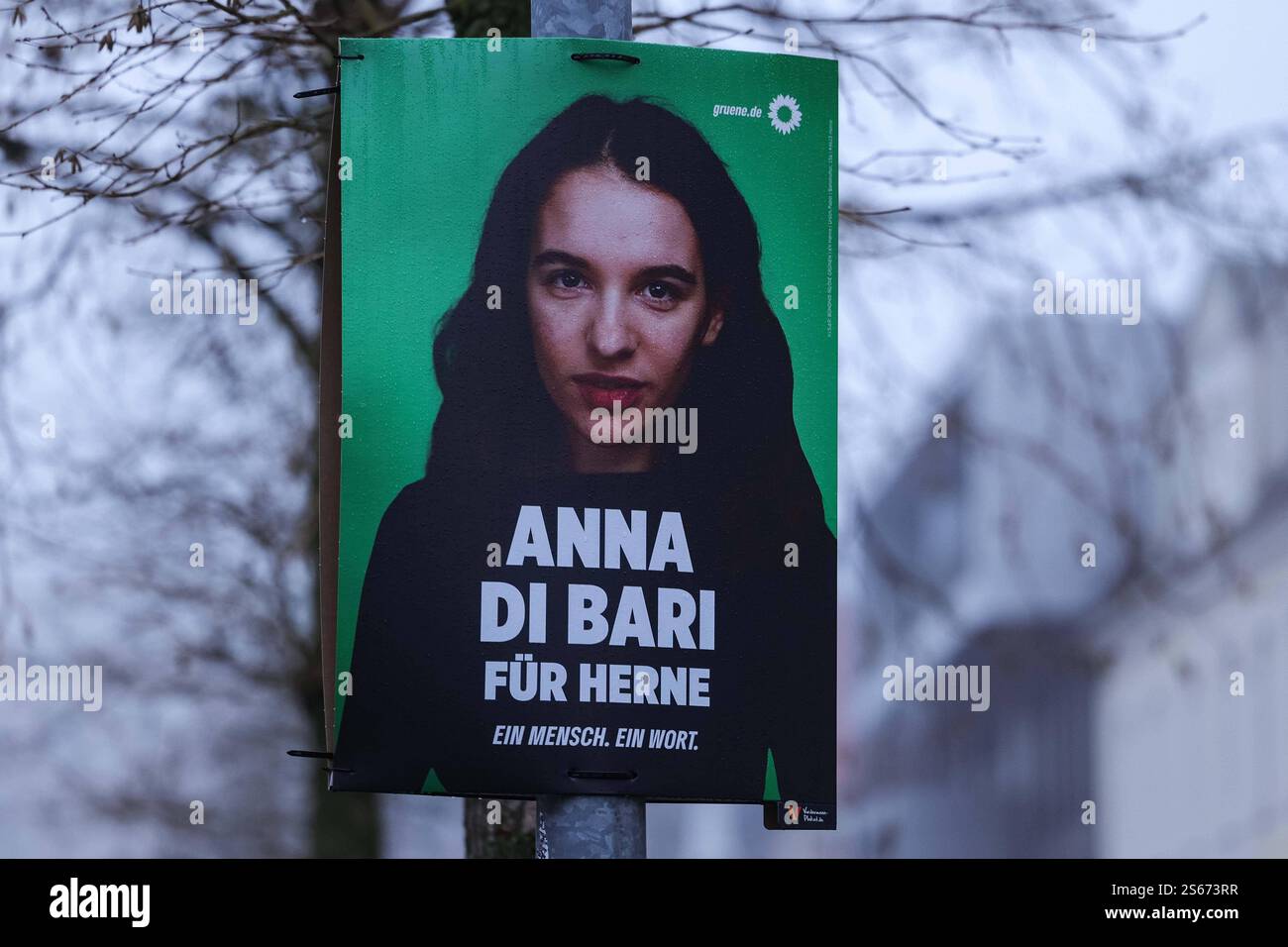Wahlplakate - Bundestagswahl 2025 am 15.01.2025 in Herne ein Wahlplakat von Bündnis 90/die ...