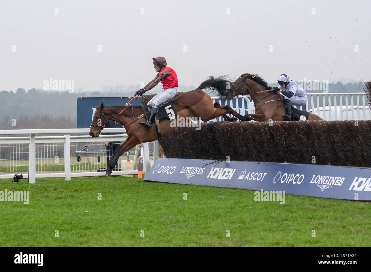 Ascot, Berkshire, Großbritannien. Januar 2025. IN D’OR Ridden by Mr ...