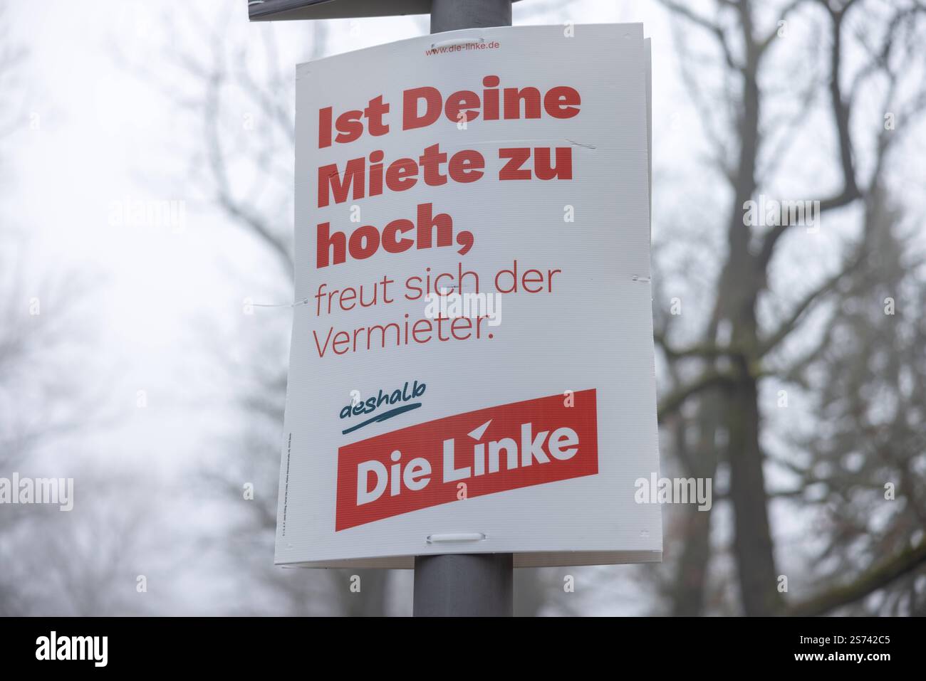 Wahlplakate in Berlin 2025 Berlin, Deutschland - 18. Januar 2025 ...