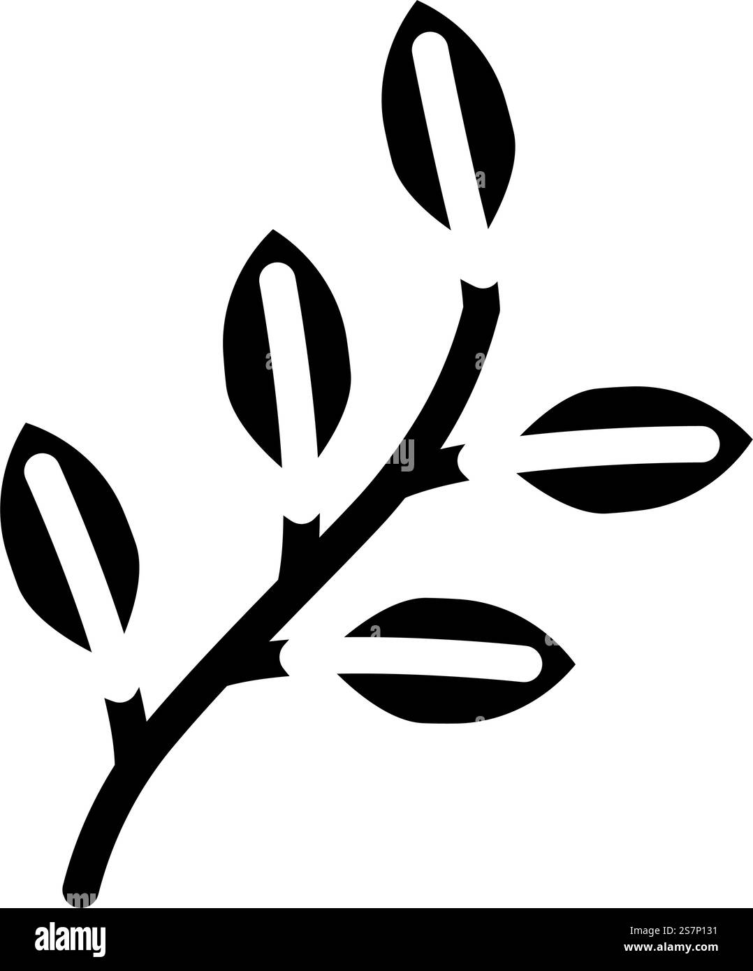 sakaki-Baumzweig shintoismus Glyphe Icon Vektor. sakaki-Baumzweig ...