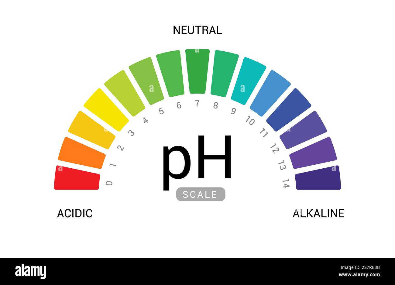Diagramm der pH-Skalenanzeige: Saures alkalisches Maß. PH-Analyse ...