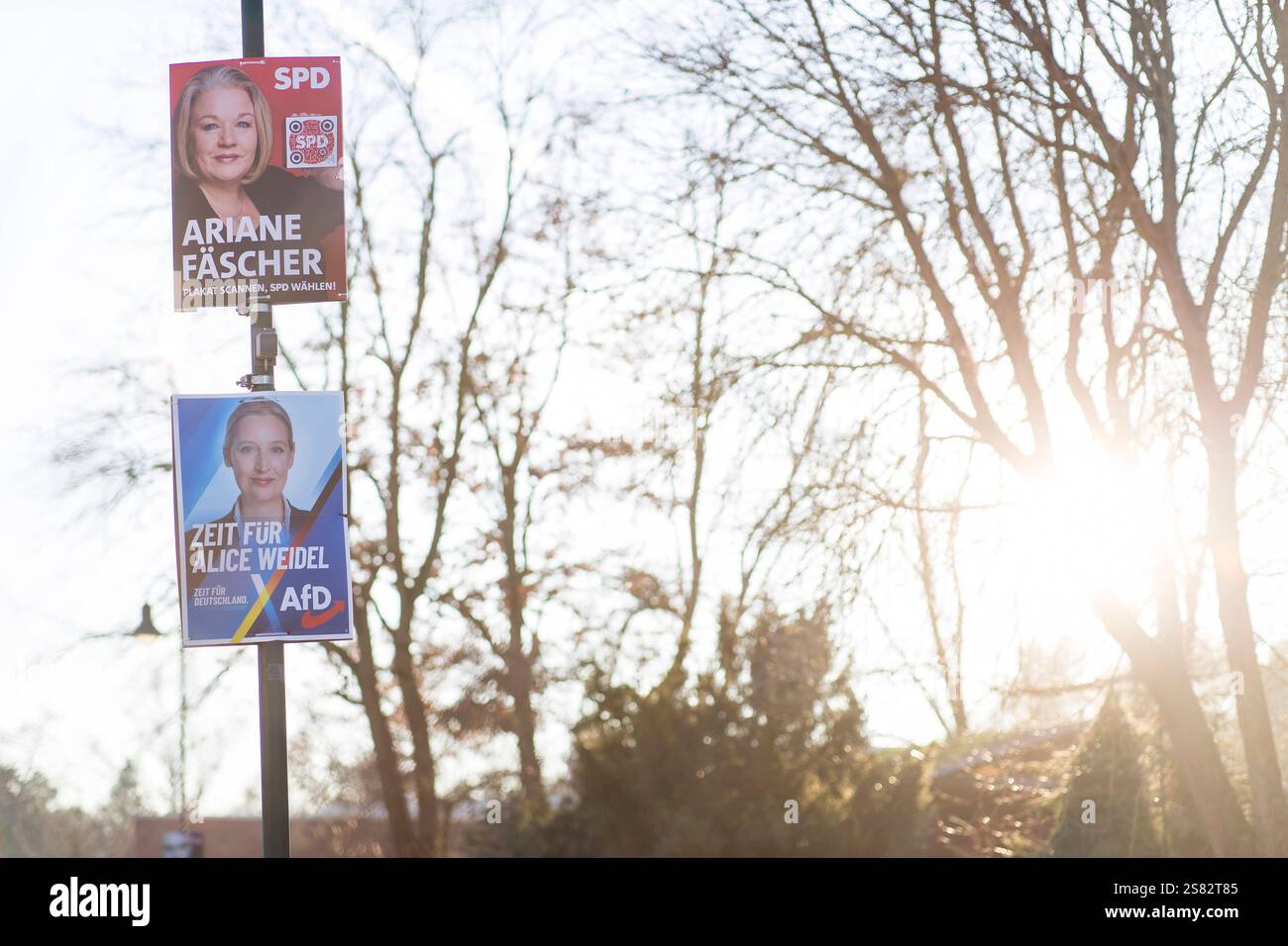 Wahlplakate für die Bundestagswahl, Schildow, 19.01.2025 Wahlplakate der Parteien SPD Ariane ...