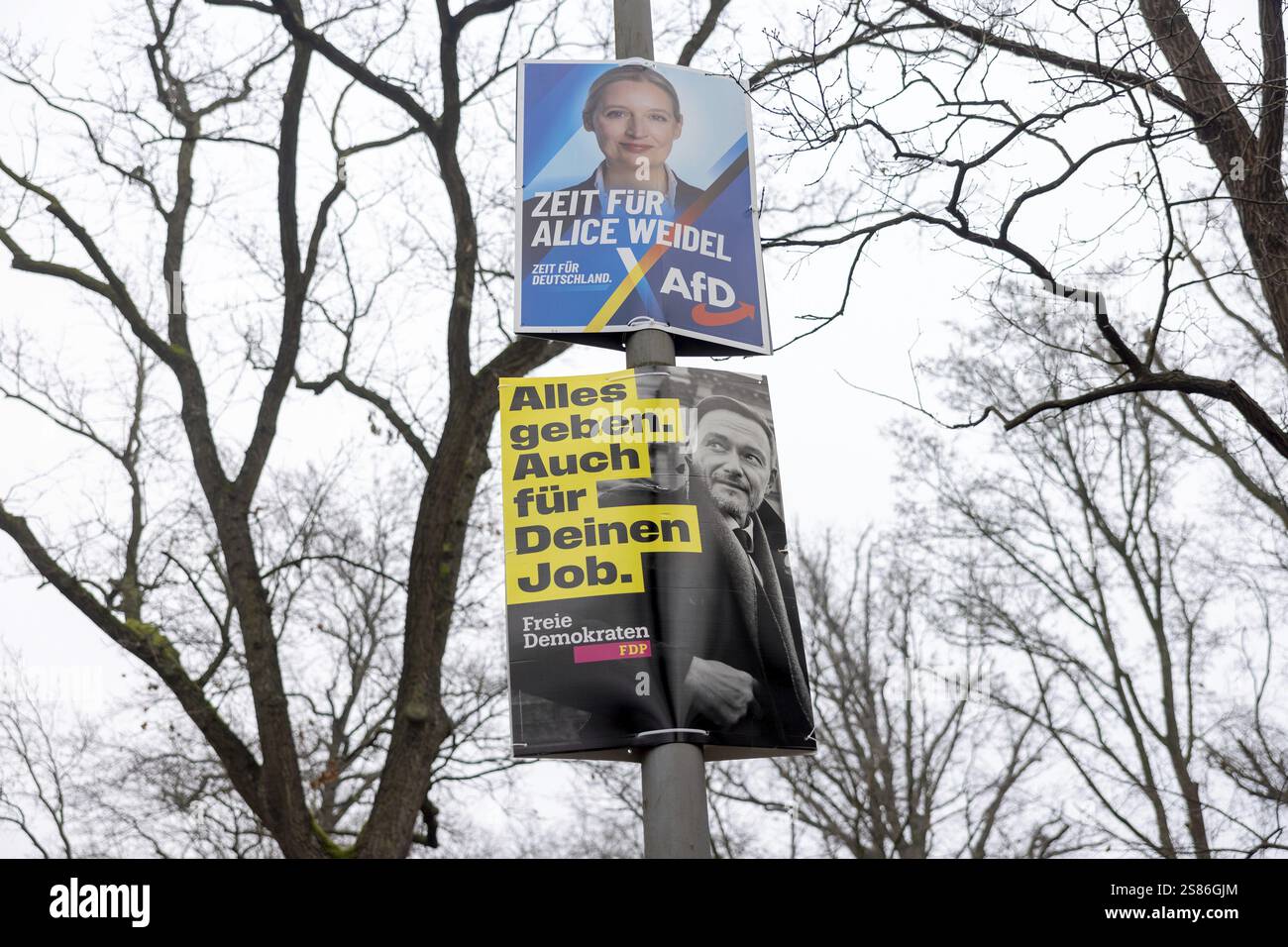Berlin, Deutschland - 18. Januar 2025: Wahlplakate zur Bundestagswahl 2025 der Parteien der FDP ...