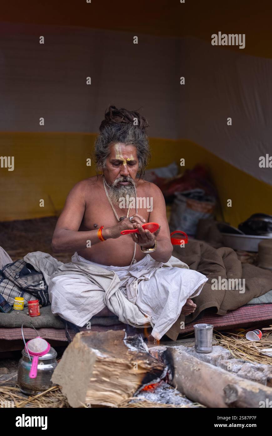 Mahakumbh, Porträt des heiligen männlichen Sadhu Baba, der an maha ...