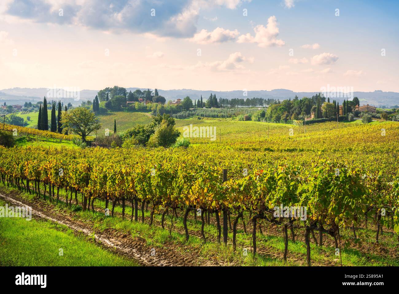 San michele a torri -Fotos und -Bildmaterial in hoher Auflösung – Alamy