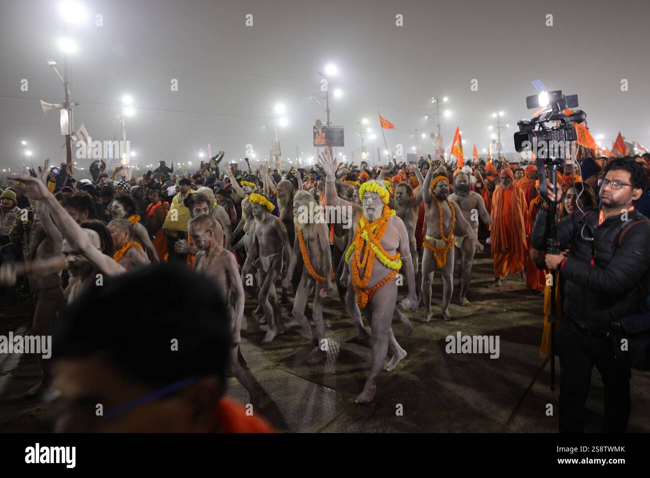 Naga Sadhus, Parade zum Sangam auf dem Shahi Snan (königliches Bad ...