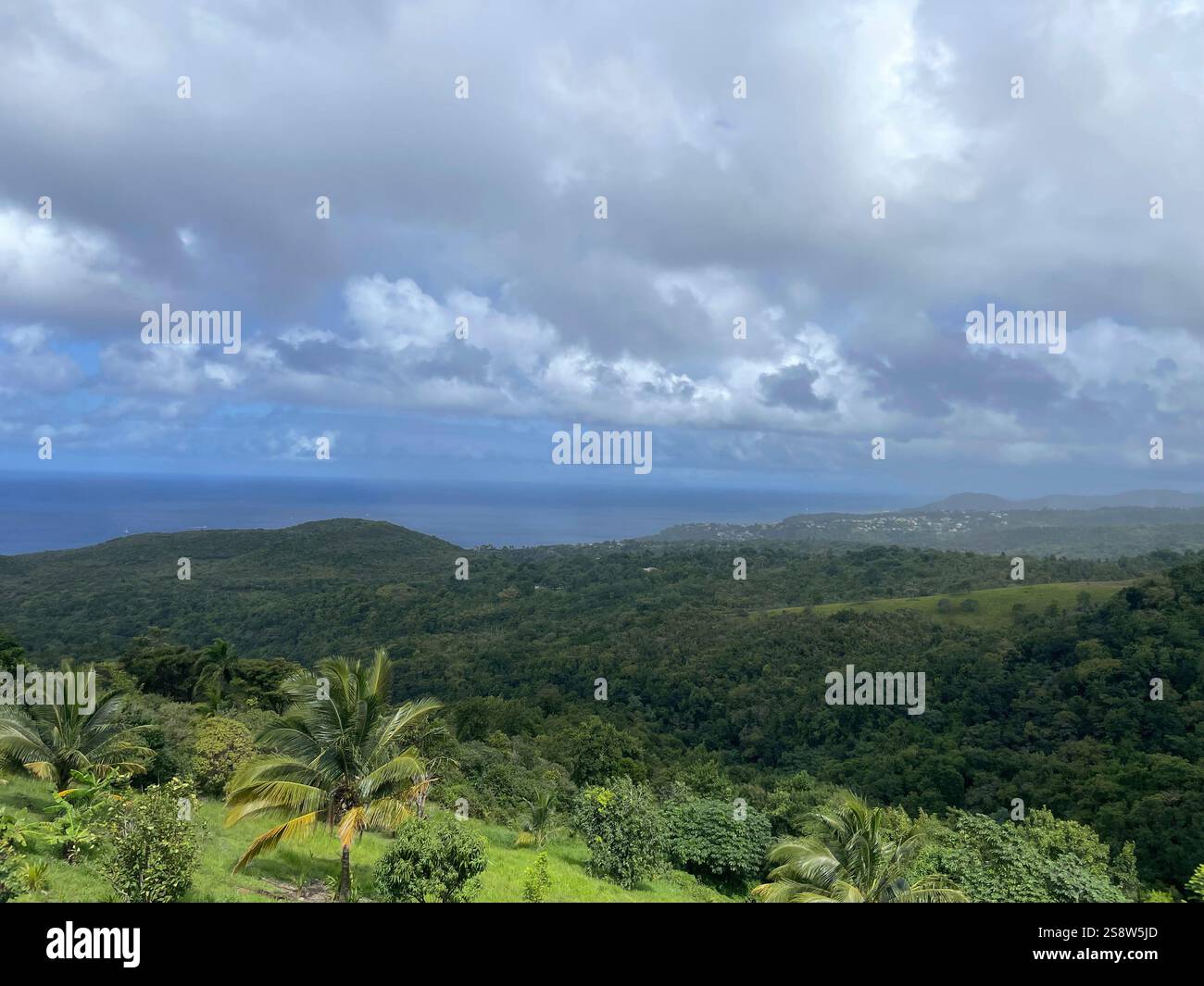 Photo by: STRF/STAR MAX/IPx 2025 1/23/25 The Caribbean Islands have ...