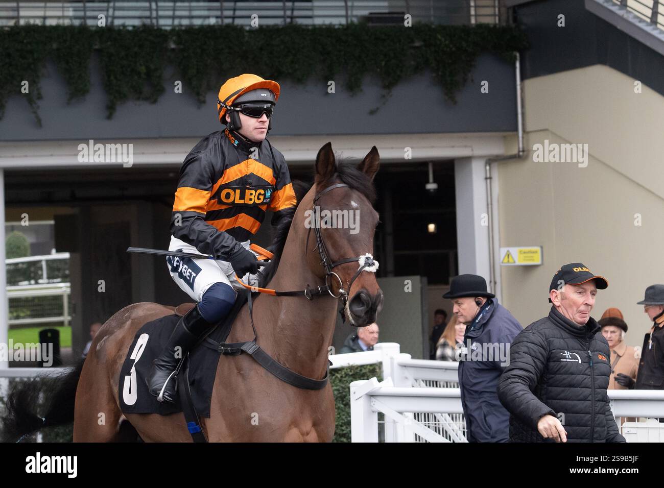 Ascot, Berkshire, Großbritannien. Januar 2025. VIYANNI, geritten von ...