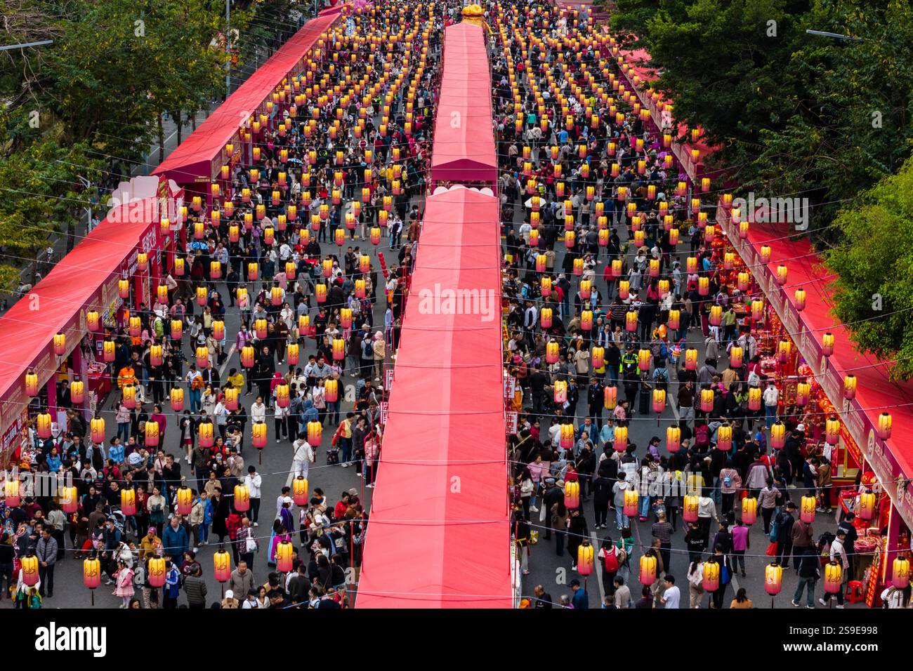 The 2025 Shenzhen Spring Flower Market opens in Shenzhen City, south ...