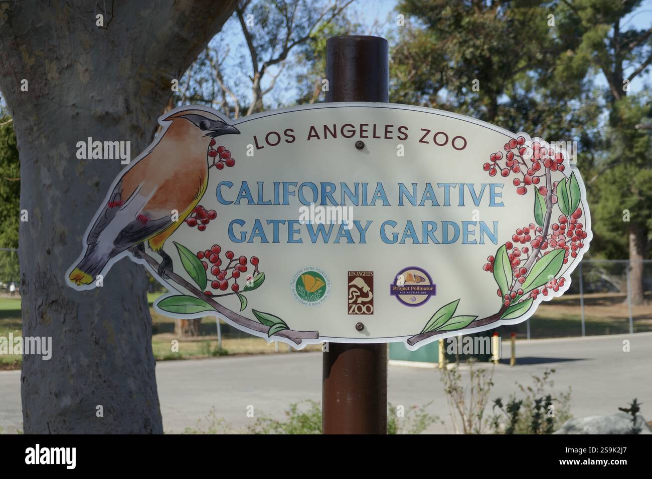 Los Angeles, Kalifornien, USA 24. Januar 2025 California Native Gateway ...