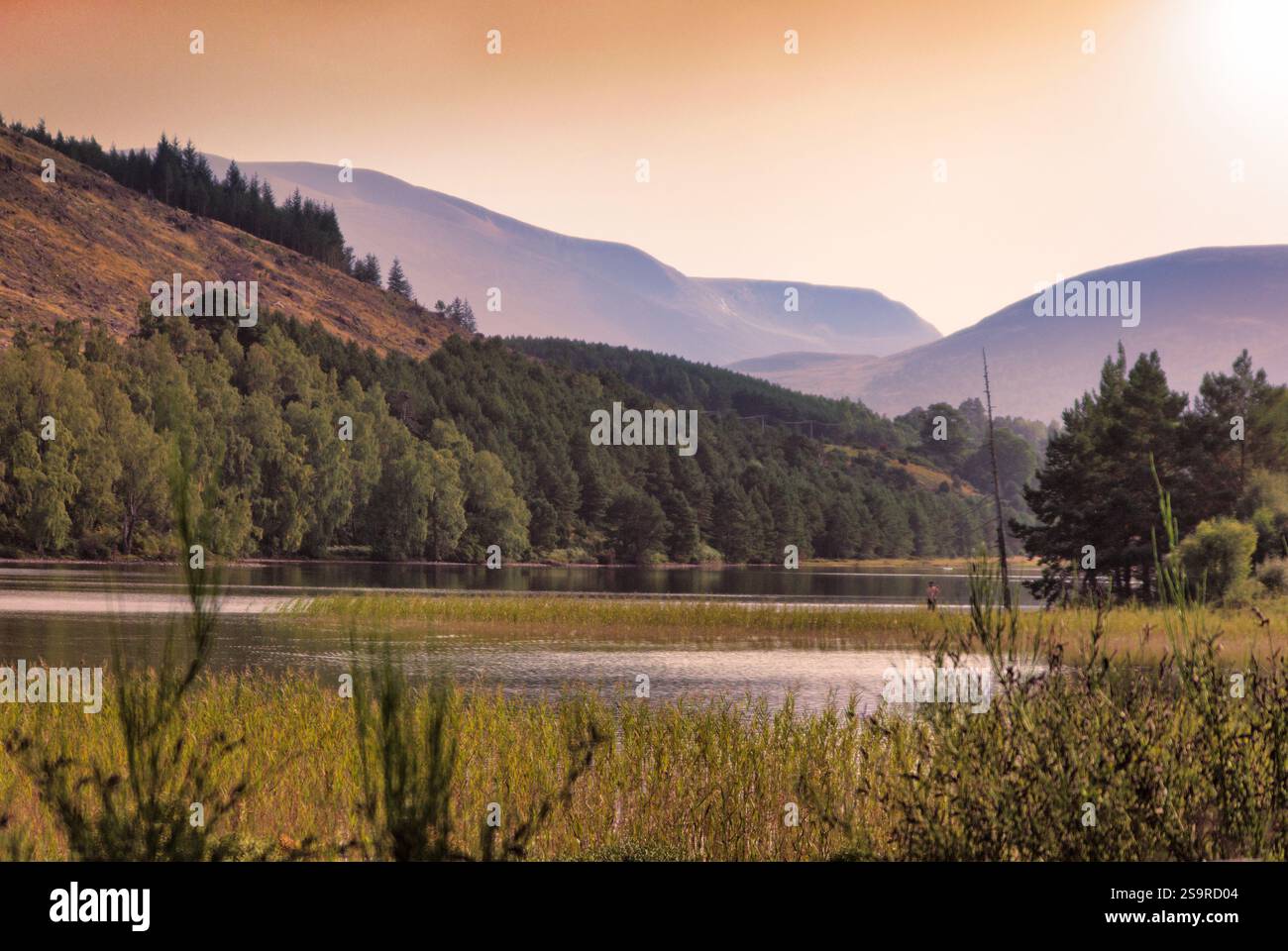 Schone Sonntagsfruhstuck In Der Nahe Bilder