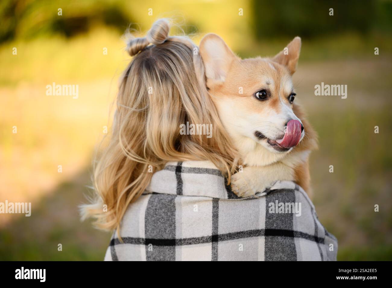 Hund leckt frau -Fotos und -Bildmaterial in hoher Auflösung – Alamy