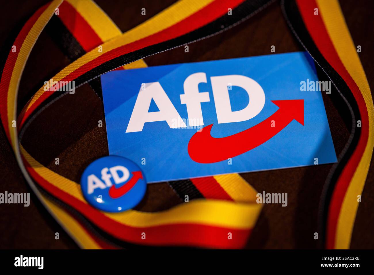 Symbolfoto AFD DEU/Deutschland/Illustration, 29.01.2025, Symbolfoto AFD ...
