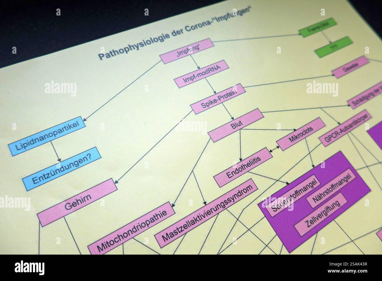 Schema mit angeblichen Impfschäden durch Corona-Impfungen auf einer Grafik, die im Januar 2025 ...