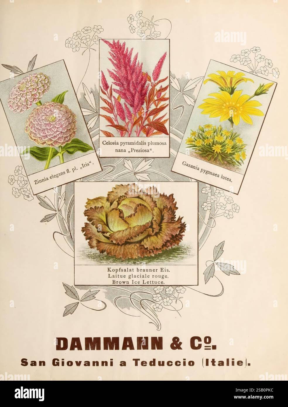 Allgemein, Preis, Liste, von, Gemüse, Bauernhof, Baum, Nadelbäume ...