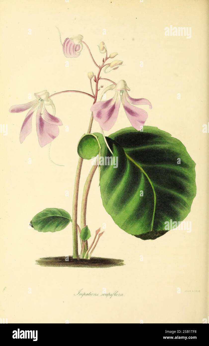 Sweeping form -Fotos und -Bildmaterial in hoher Auflösung – Alamy