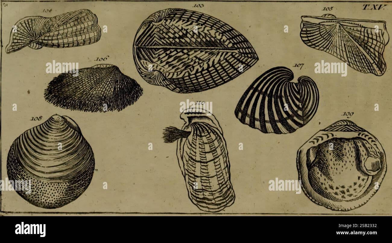 Unterhaltungen aus der Naturgeschichte, Augsburg, Schlosser,1834 ...