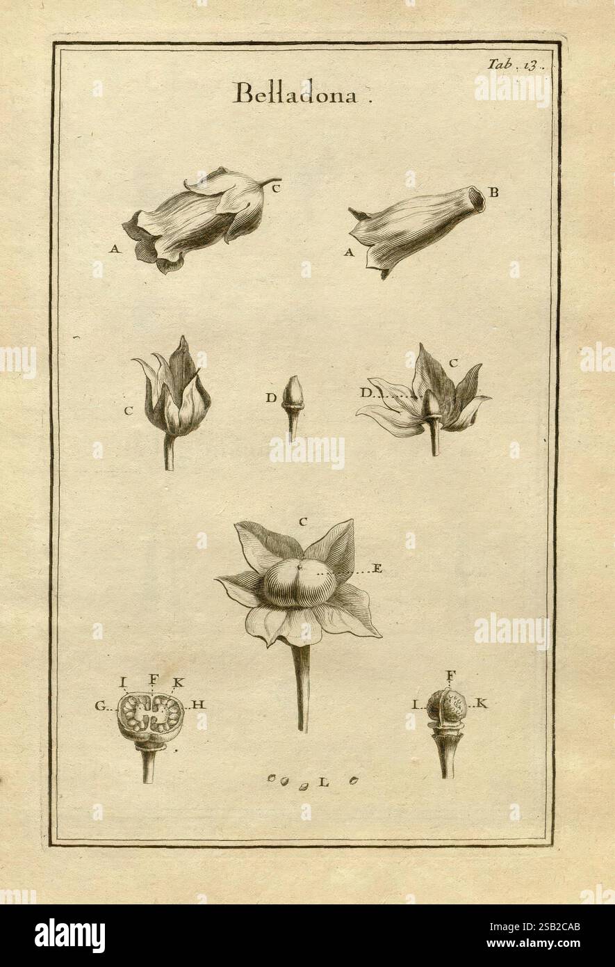 Joseph Pitton de Tournefort, Institutiones rei herbariae, Parisiis, E Typographia Regia, 1700 ...