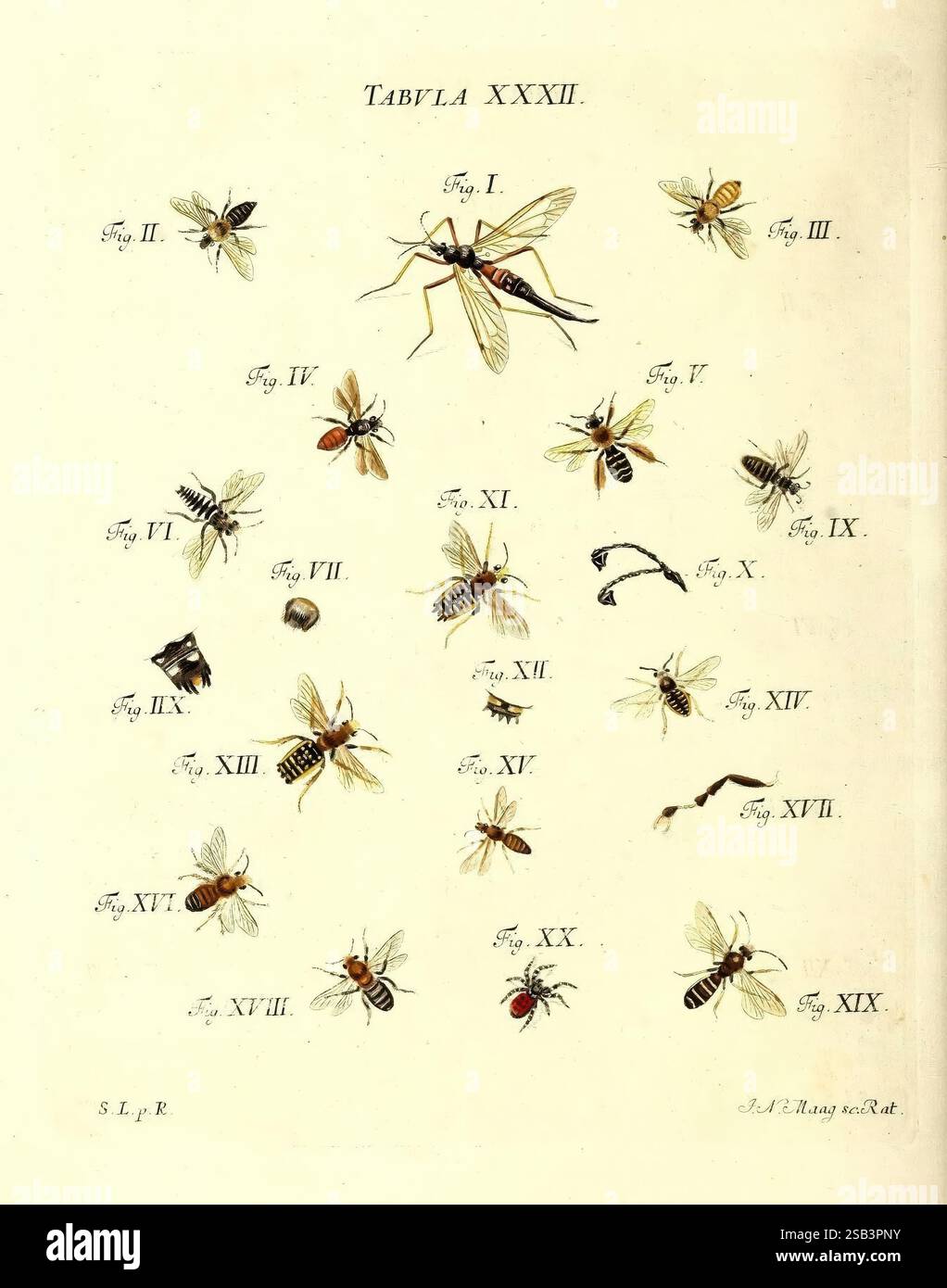 Iacobi Christiani Schaefferi s.s. theologiae et philosophiae doctoris ...