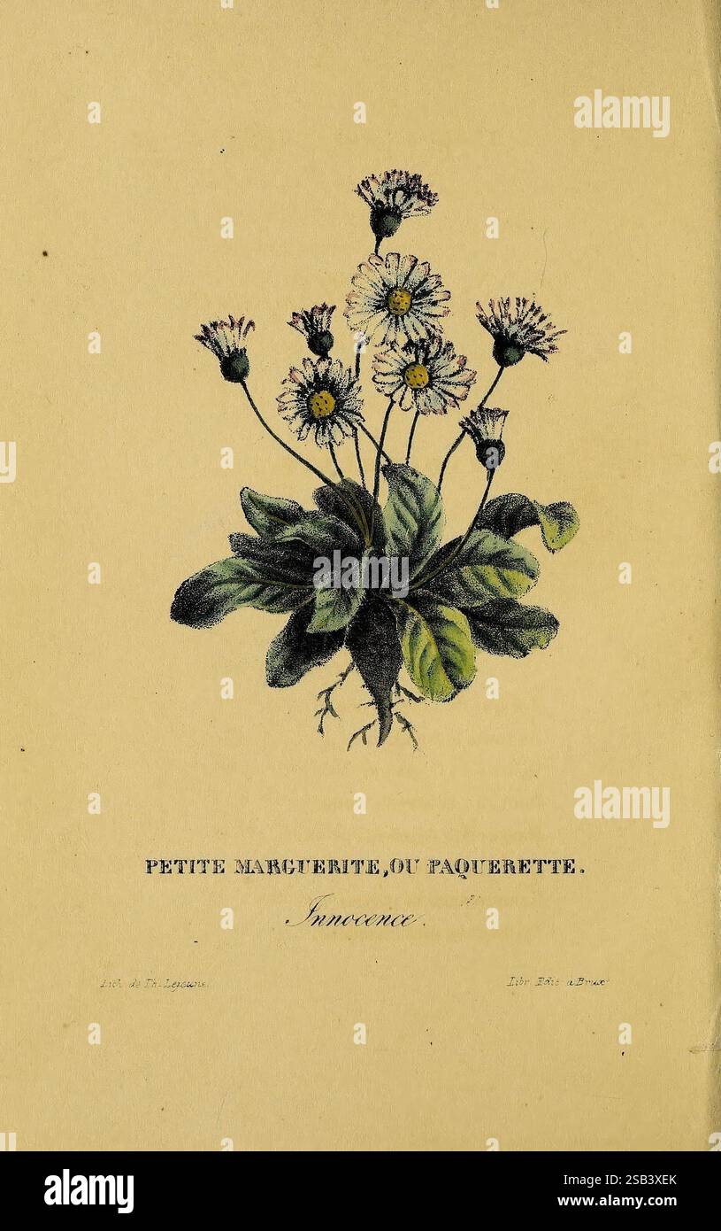 Nouveau langage des Fleurs, ou, Parterre de flore Bruxelles, Chez Th ...