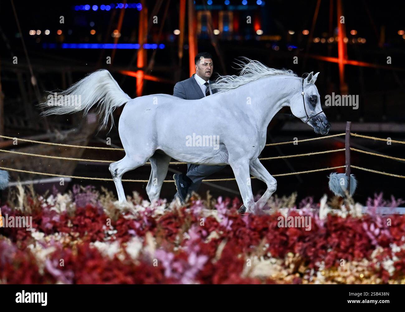 KATARA INTERNATIONAL ARABIAN HORSE FESTIVAL KIAHF 2025 Rabih Al Fahed ...