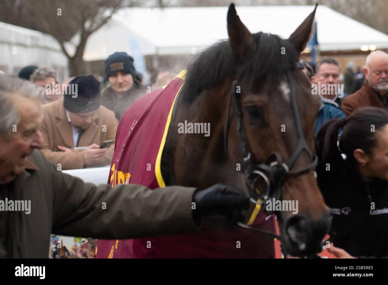 BILDER ABLEGEN. Februar 2025. Rennpferdbesitzer John Hales (im Bild ...