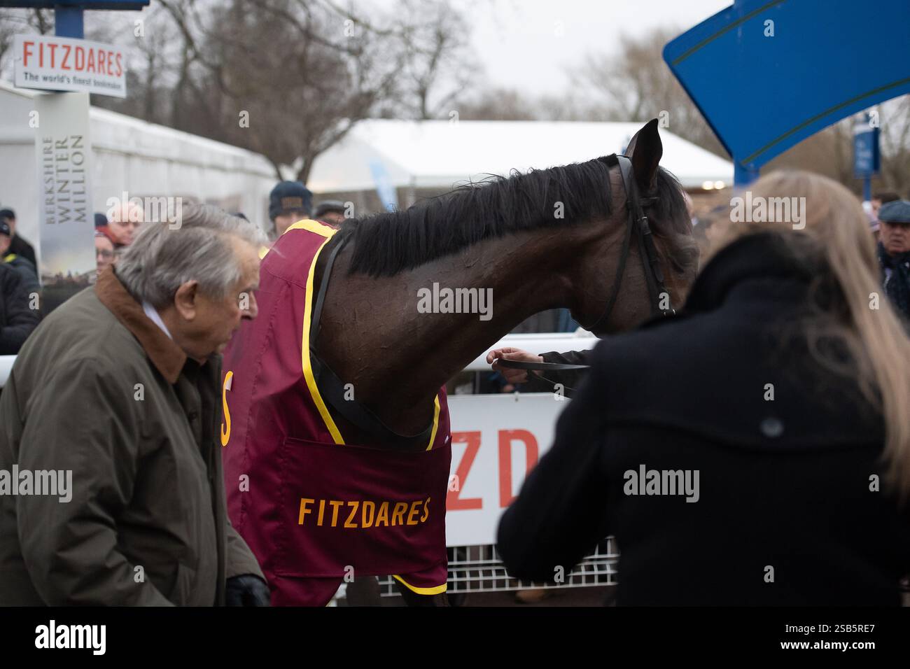 BILDER ABLEGEN. Februar 2025. Rennpferdbesitzer John Hales (im Bild ...
