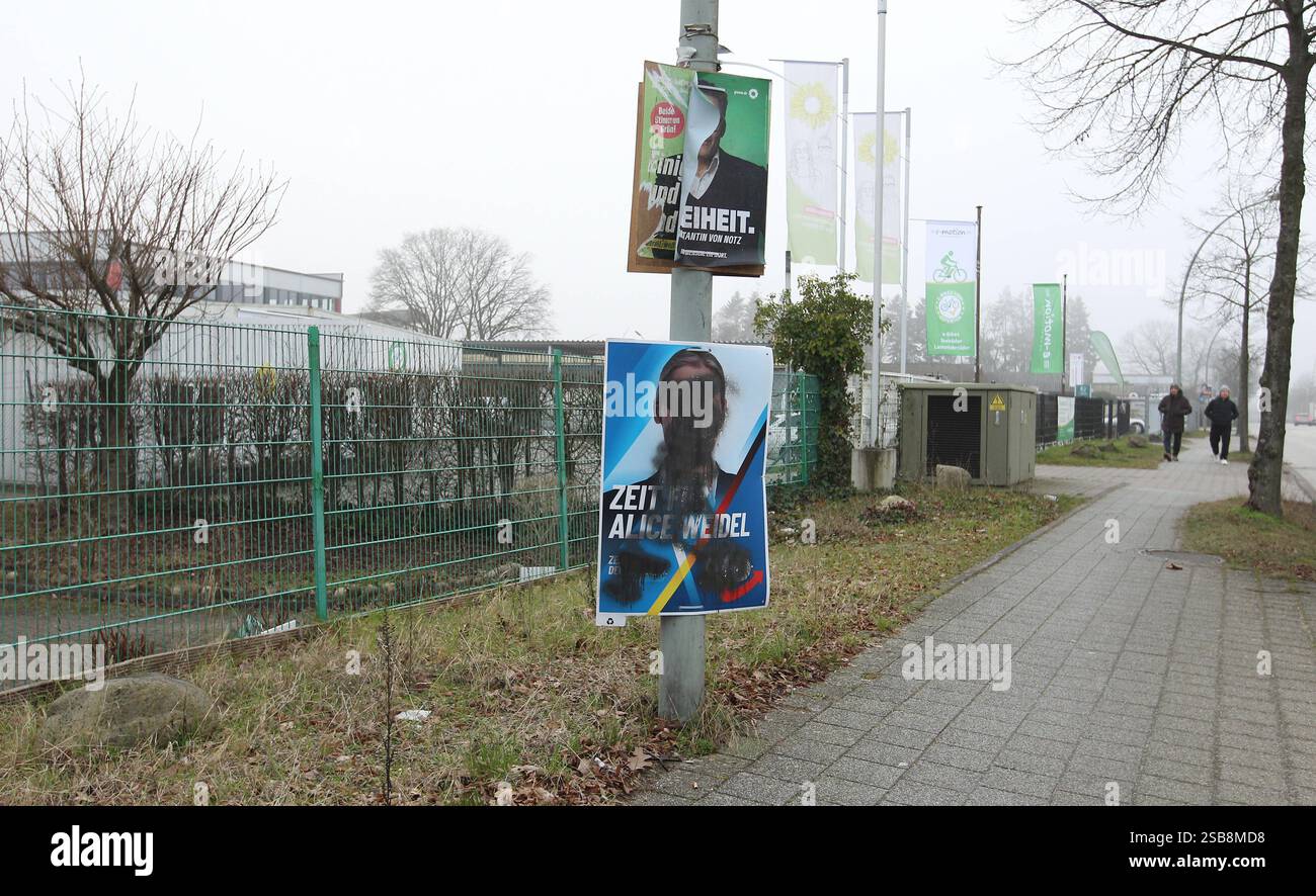 Ein Wahlplakat der Partei Alternative für Deutschland AFD mit dem ...