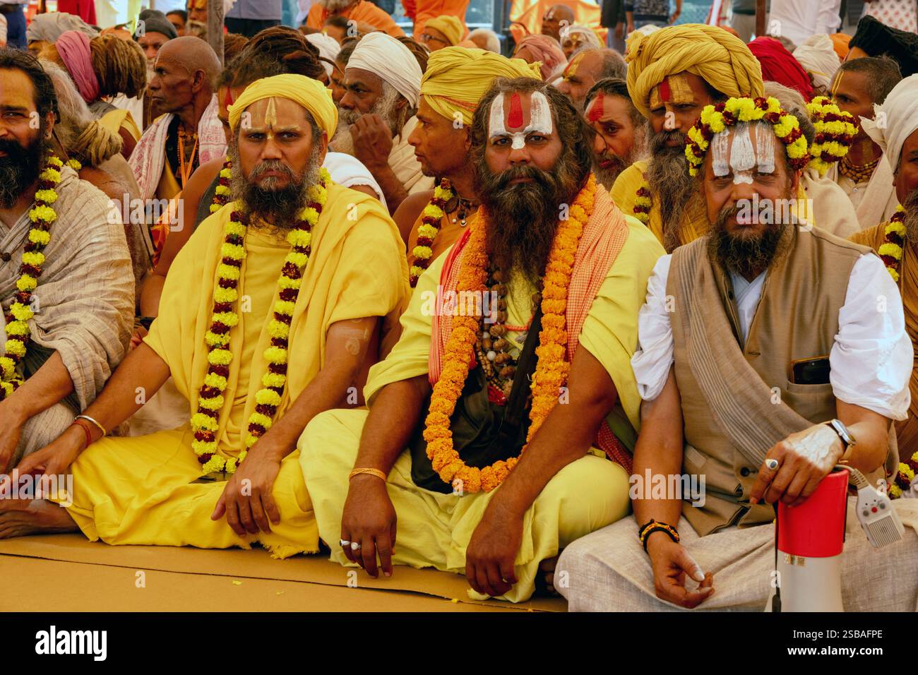 Sadhu or hindu holy men participate in a coronation ceremony at camp of ...