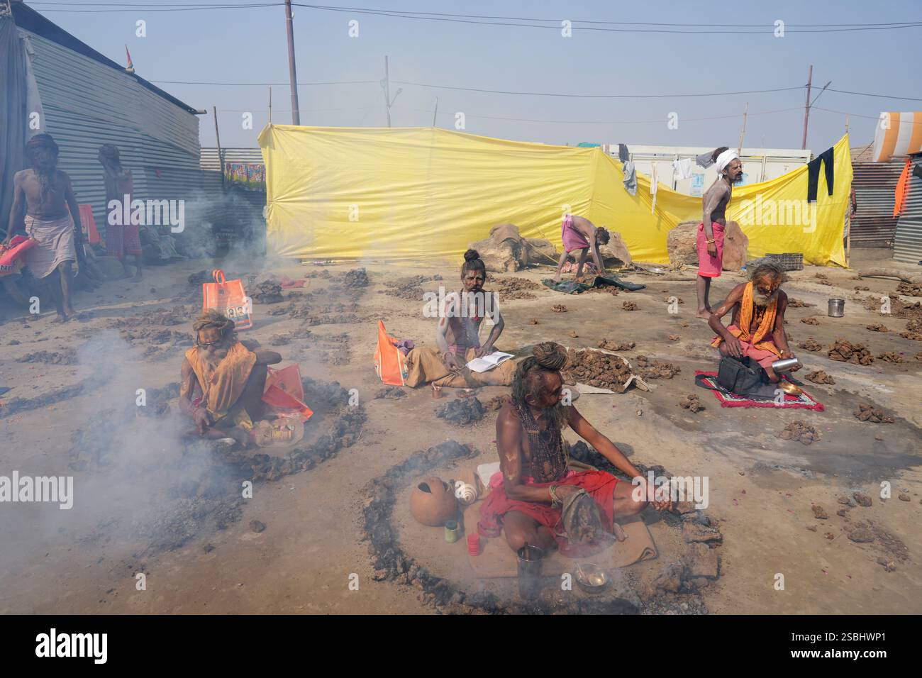 Hindu holy men burn dried cow dung cakes as they perform a ritual at ...