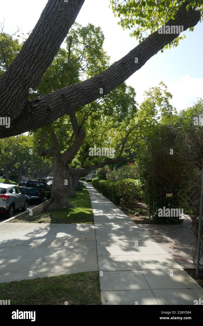 Beverly Hills, Kalifornien, USA 4. Februar 2025 Gloria Vanderbilt ...