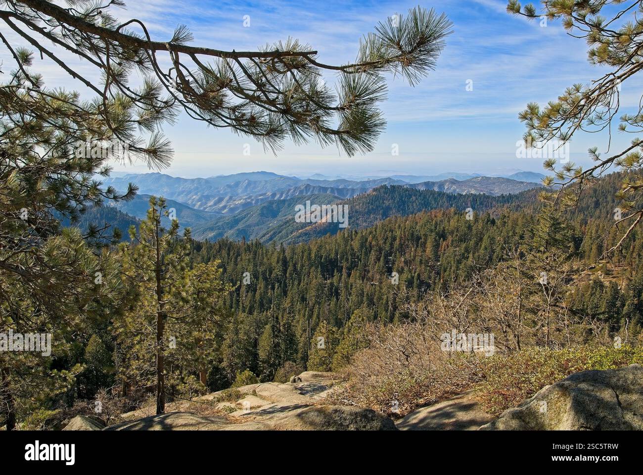 Sierra nevada nationalwald -Fotos und -Bildmaterial in hoher Auflösung ...