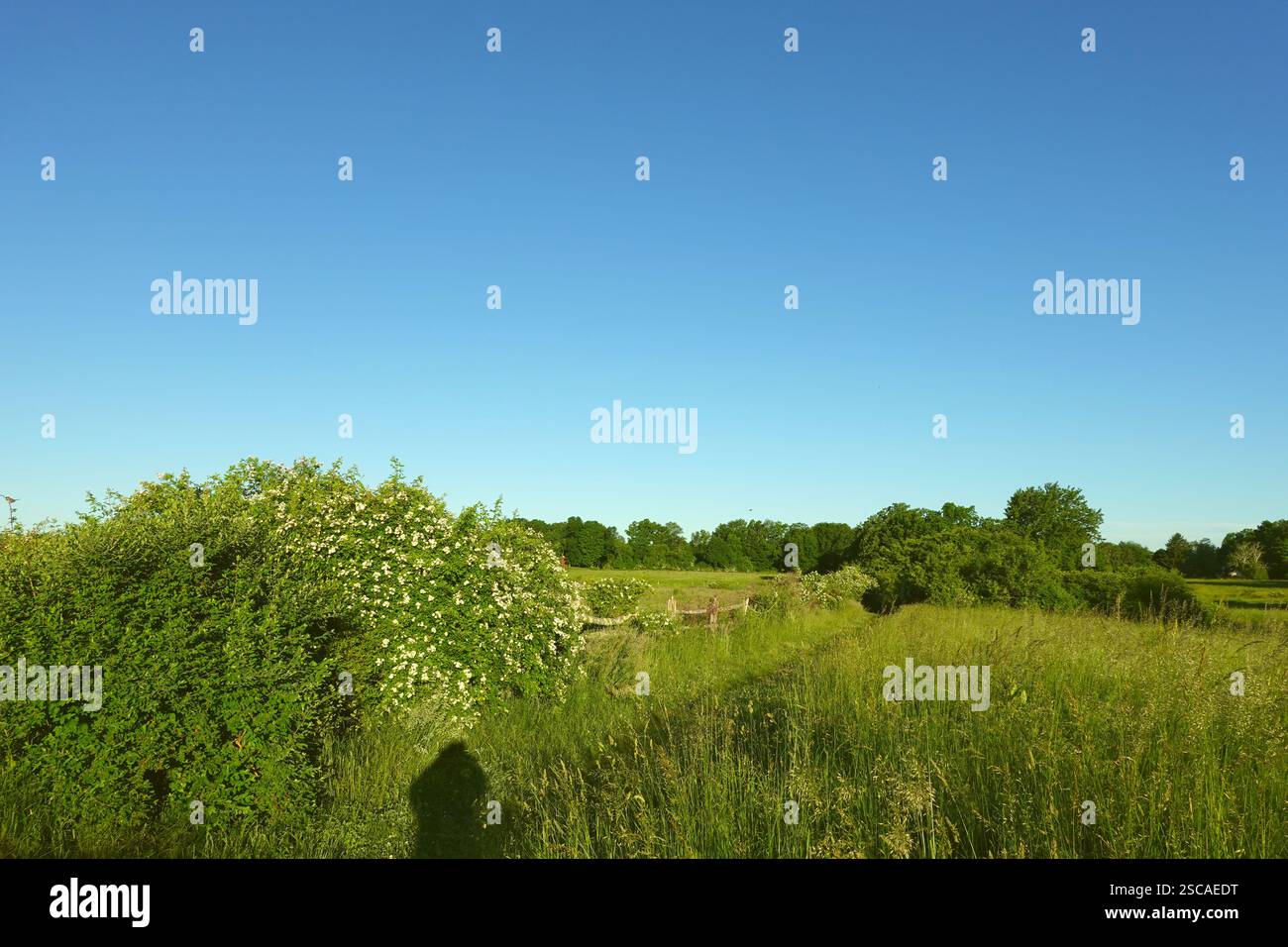 Castle neck river -Fotos und -Bildmaterial in hoher Auflösung – Alamy