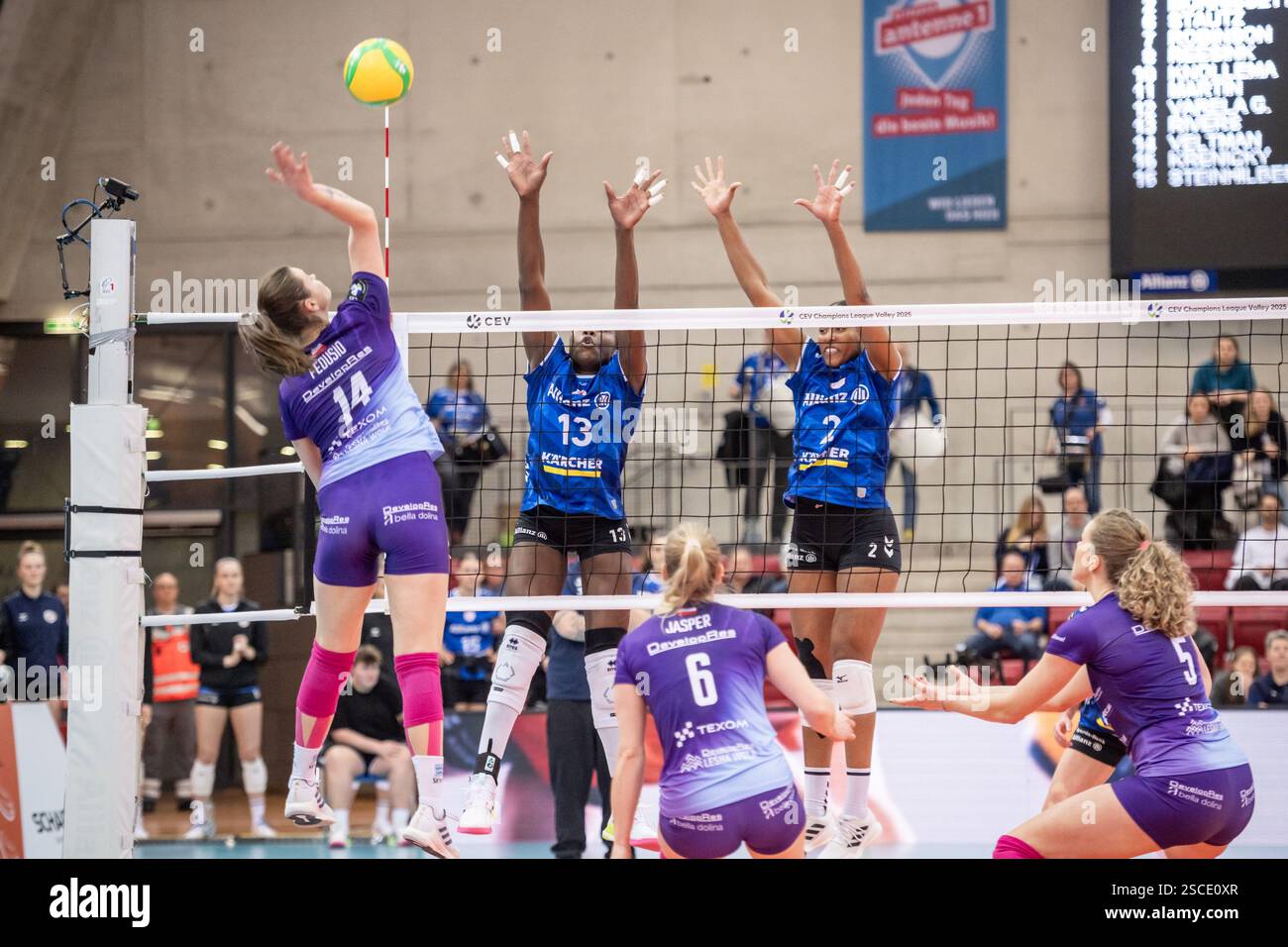 Monika Fedusio (KS DevelopRes Rzeszow, #14) vs. Krystal Rivers (Allianz MTV Stuttgart, #13) und ...