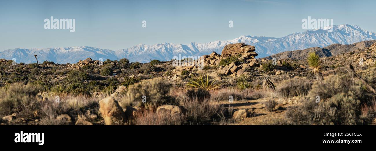 Stubbe federn -Fotos und -Bildmaterial in hoher Auflösung – Alamy