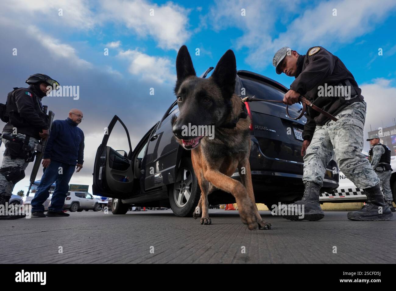 Members of Mexico's National Guard work with a dog to inspect cars in line to cross the border ...