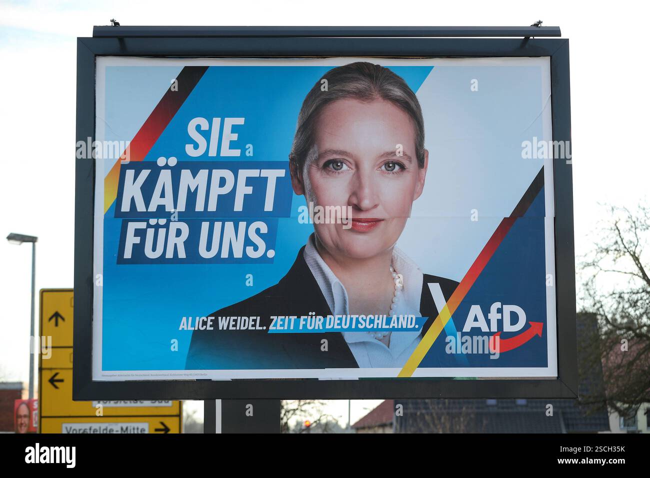 02.02.2025, xtgx, Symbolfotos Wahlkampf zur Bundestagswahl. Plakat von Alice Weidel Alternative ...