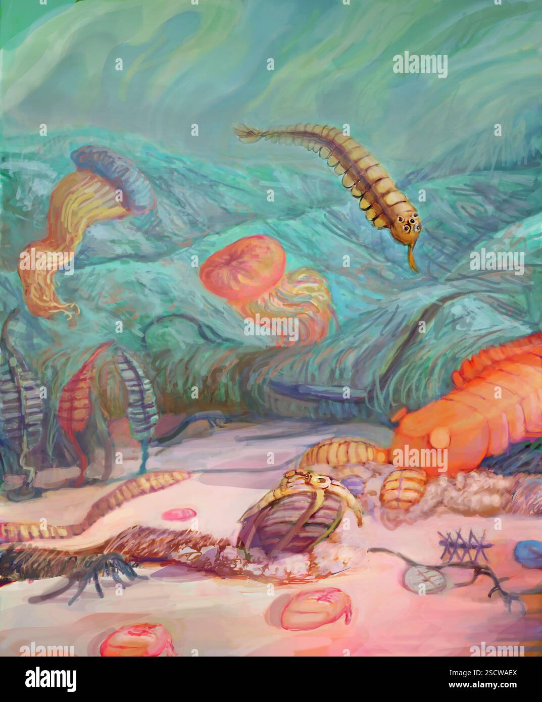 Der Burgess Shale ist eine Fossilienlagerstätte in den Rocky Mountains ...