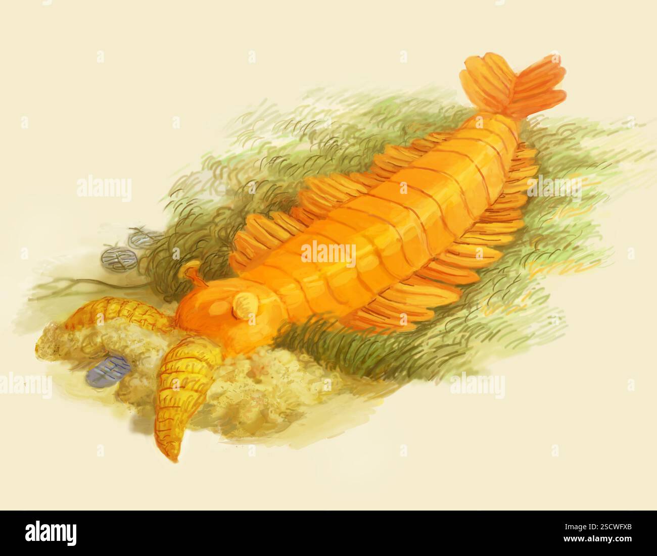 Anomalocaris ist eine ausgestorbene Gattung von Radiodont, einer ...