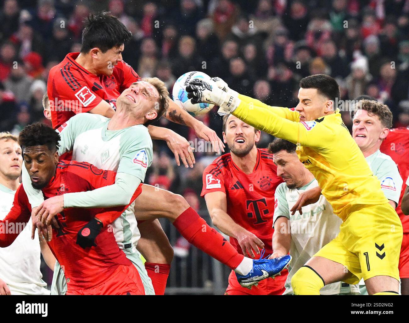 München, Deutschland. Februar 2025. Fußball: Bundesliga, Bayern München ...