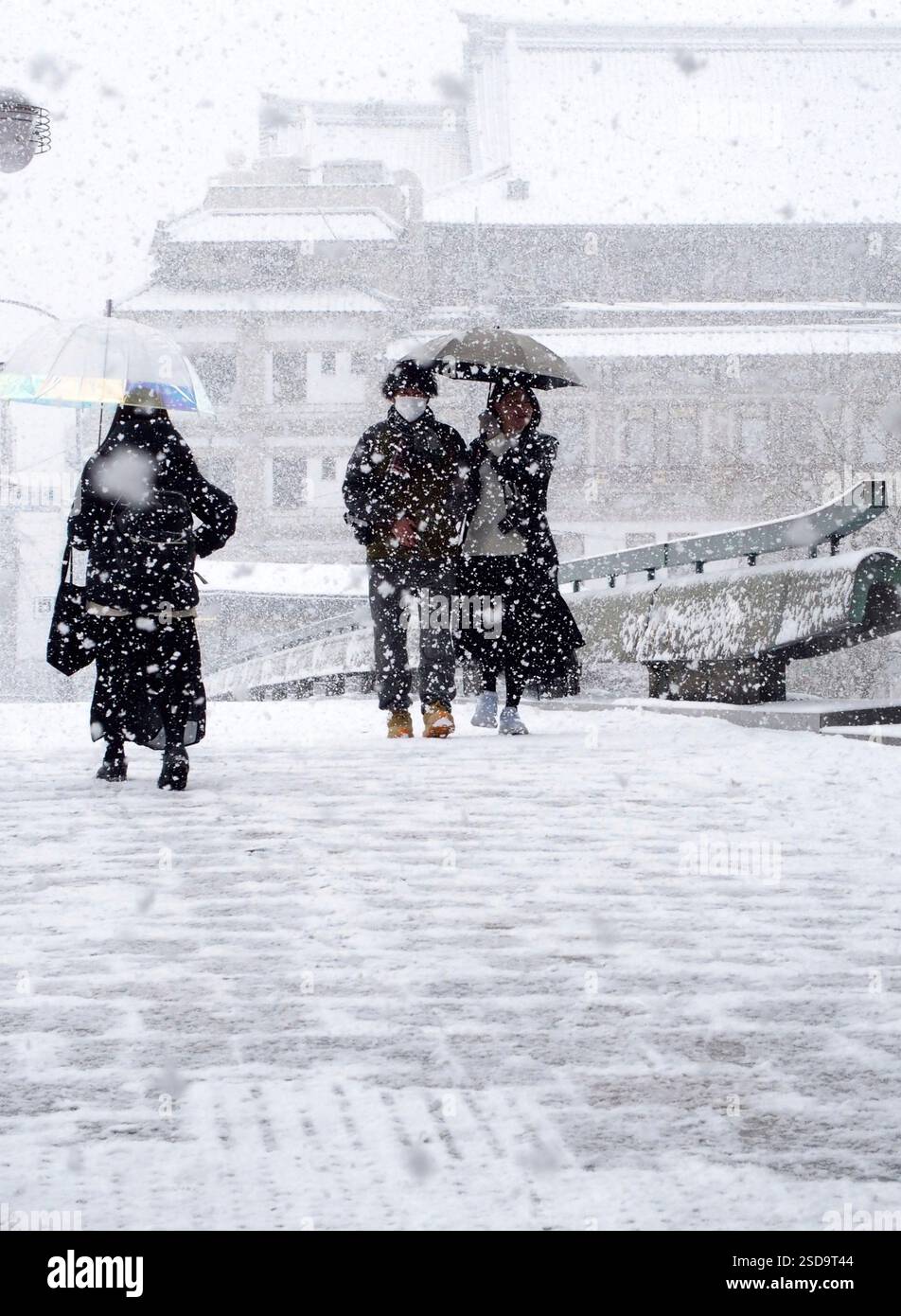 Kyoto city covered in snow due to cold wave is seen on February 8, 2025 ...