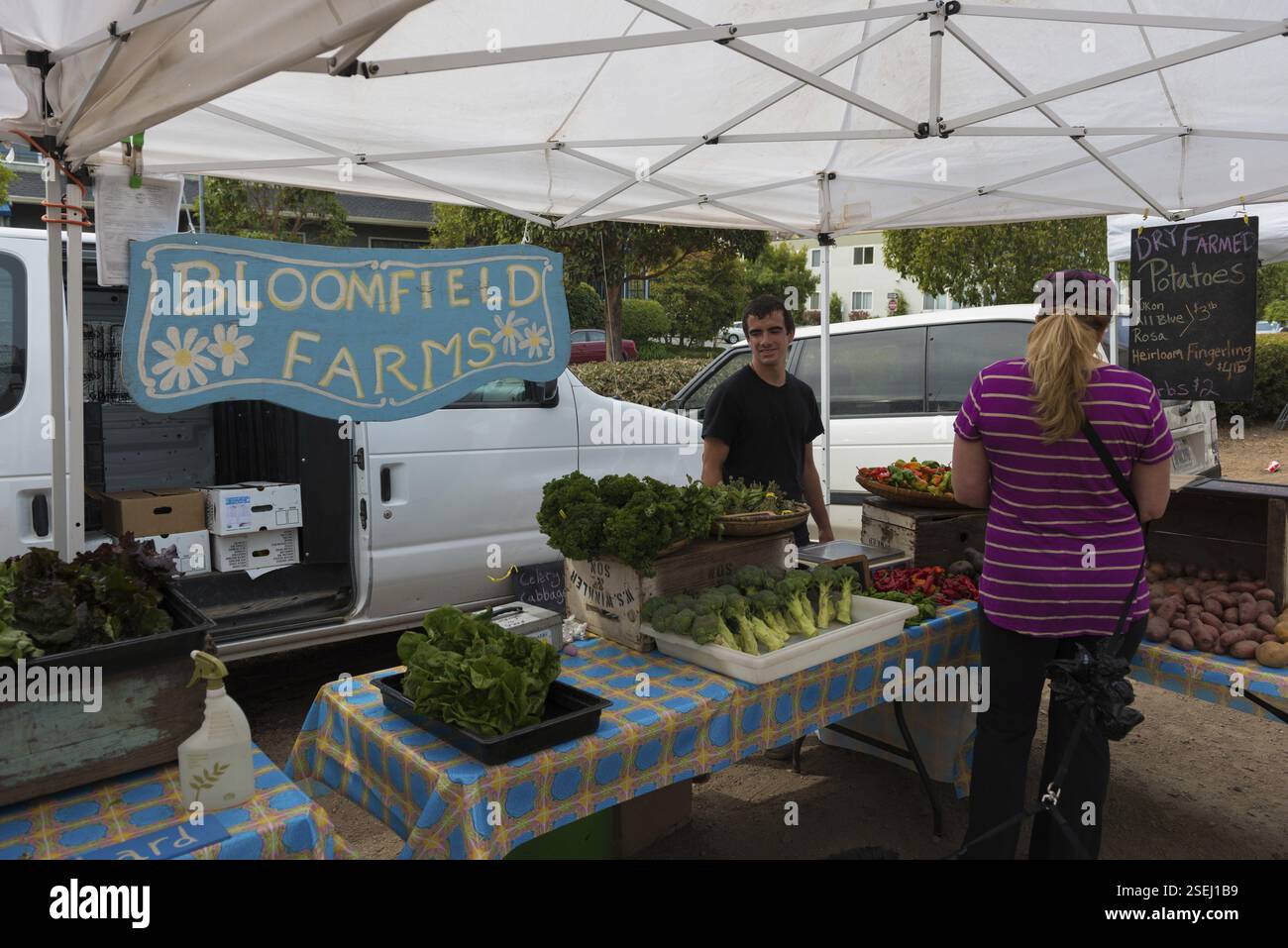 Bloomfield Farms at the Sausalito Farmer's Market, Sausalito ...