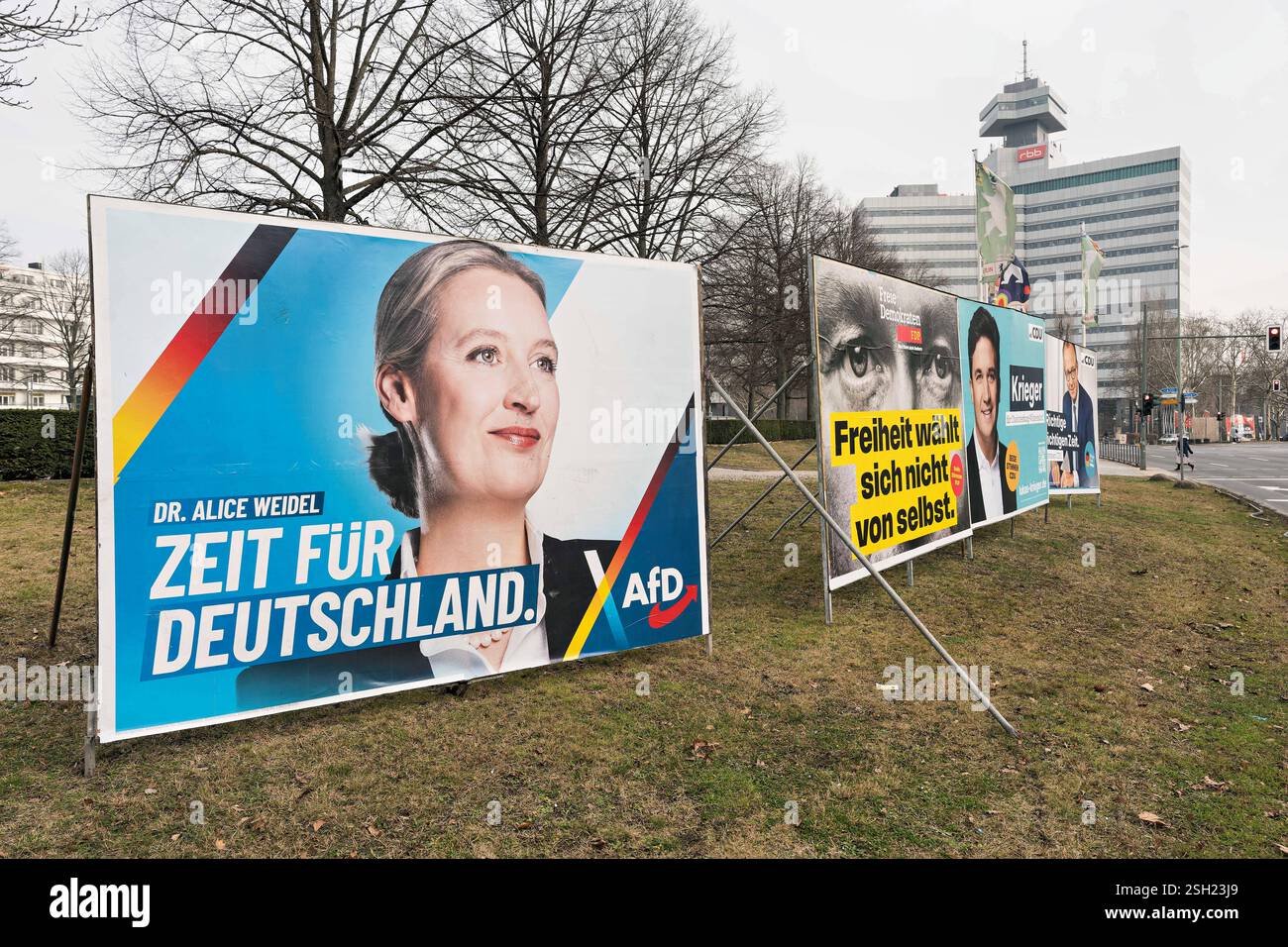 2025-02-10,Berlin,Wahlplakat u.a der AfD Alice Weidel zur Wahl zum 21. Deutscher Bundestag am 23 ...